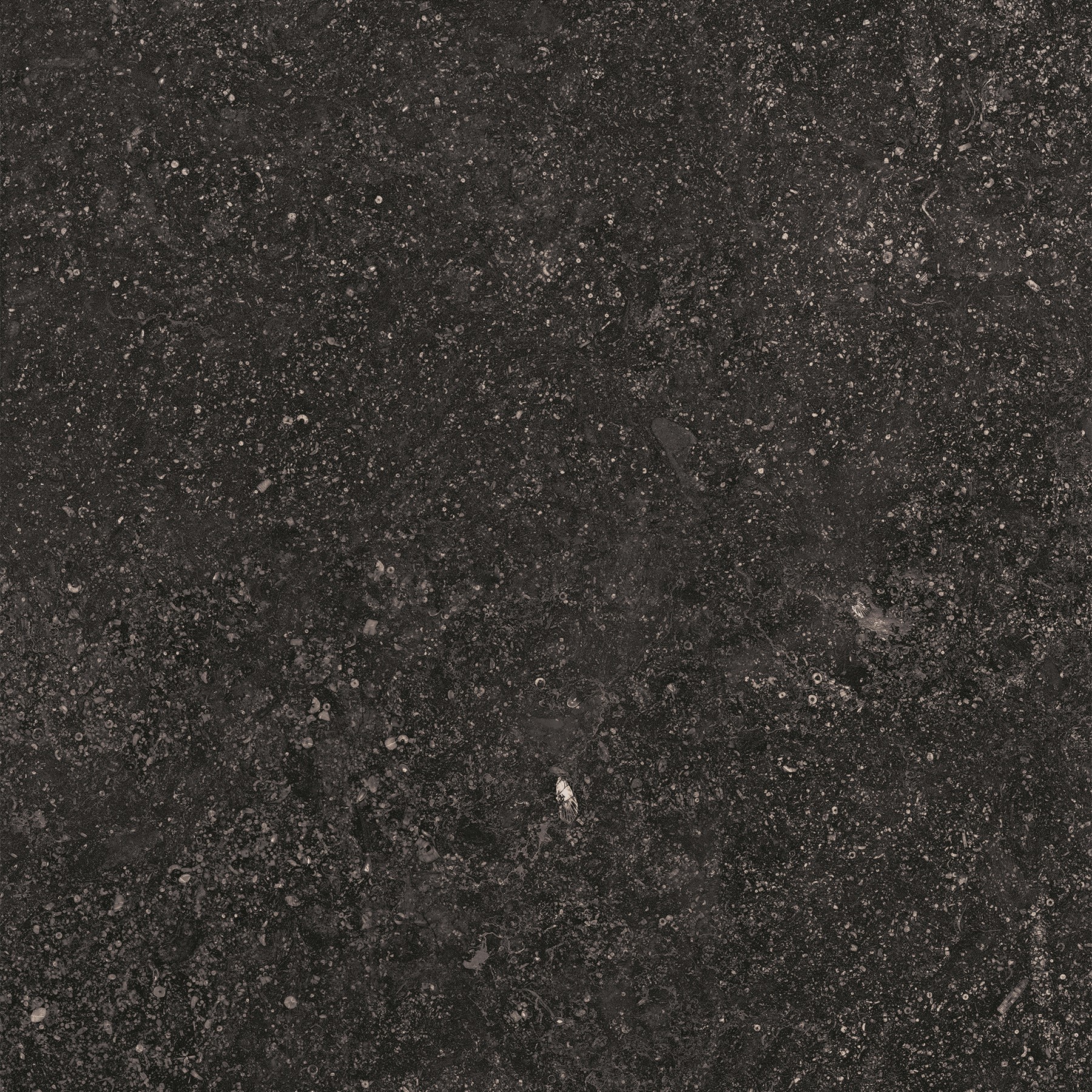 Beljn - Carbon Neutral Belgian Stone-Inspired Tile Crossville® Tile